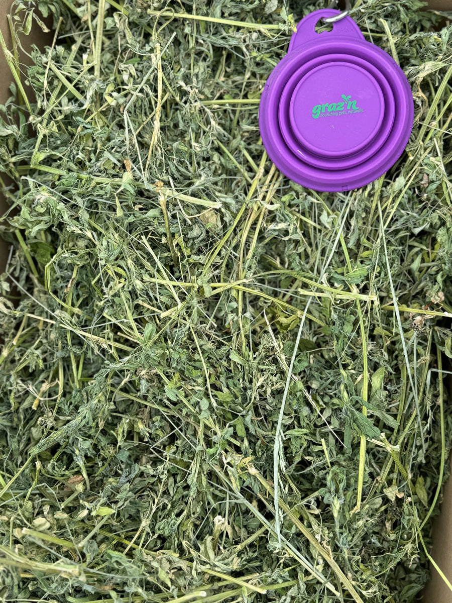 GRAZ'N Organic Hay-Chew Bundle for Rabbits, Guinea Pigs, Hamsters