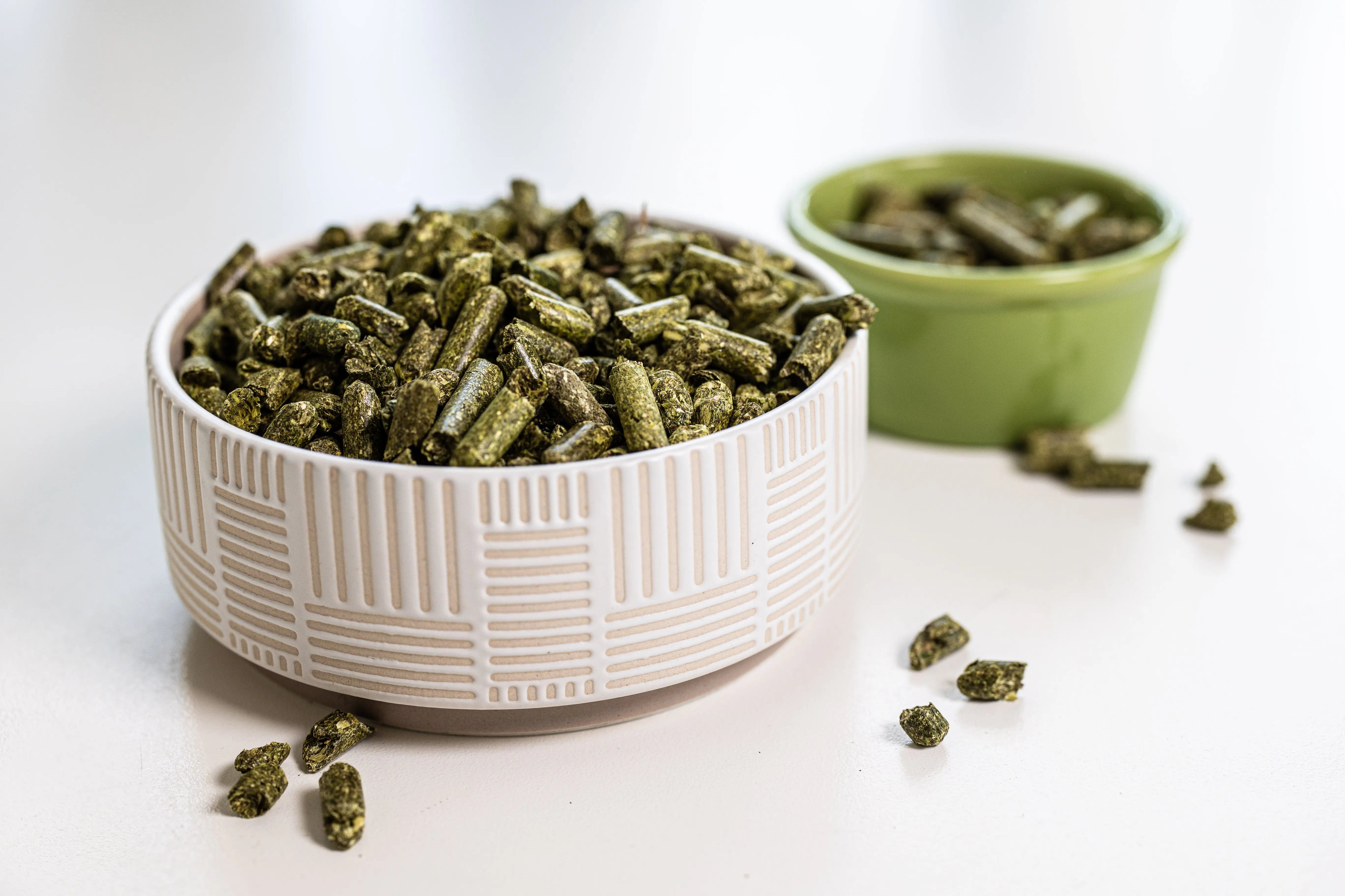 Graz'n Organic Timothy Pellets for Small Pets - GRAZ'N – GRAZ'N