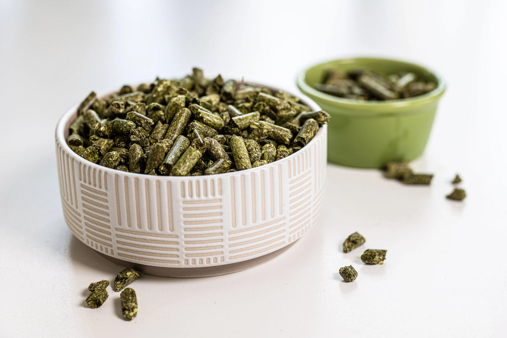 Graz'n Organic Timothy Pellets for Small Pets - GRAZ'N – GRAZ'N